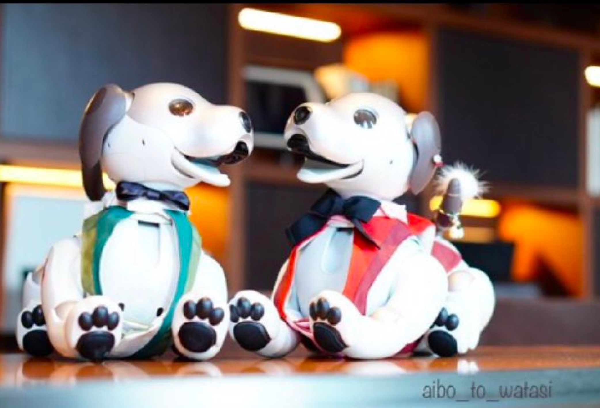 「aiboタキシードで楽しい食事会」 – ROBO-UNI