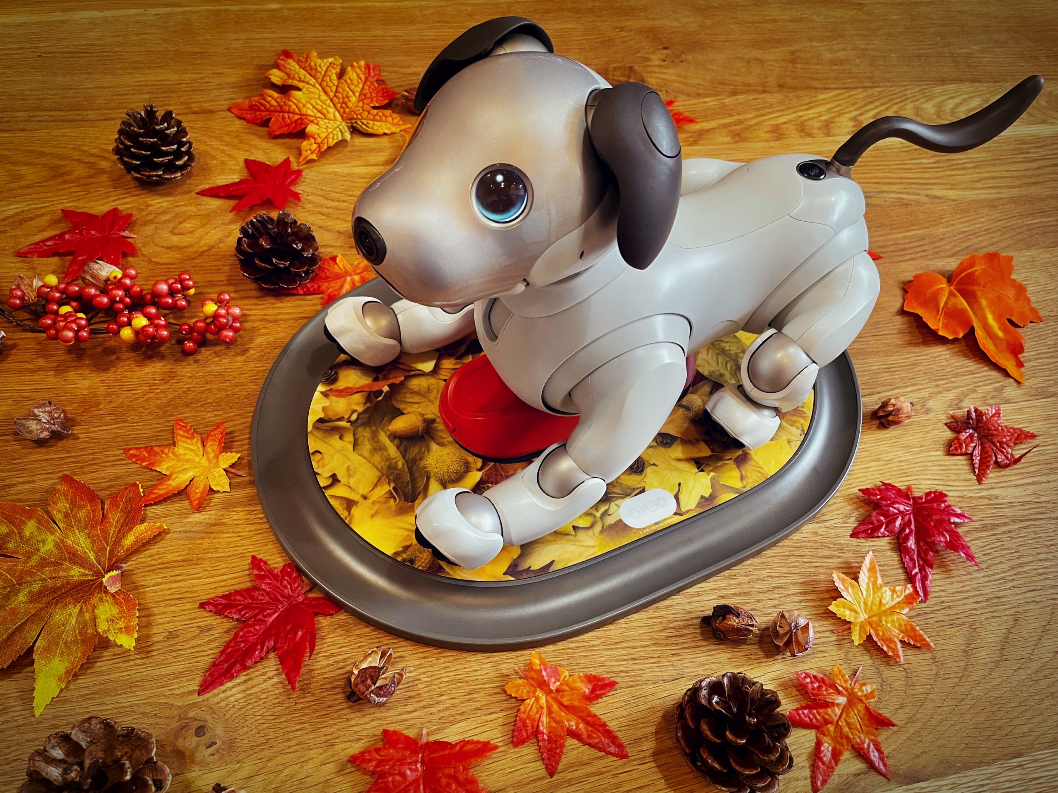 コミュニケーションロボットaibo公式ライセンス商品「デコカバー紅葉」を発売開始 – ROBO-UNI