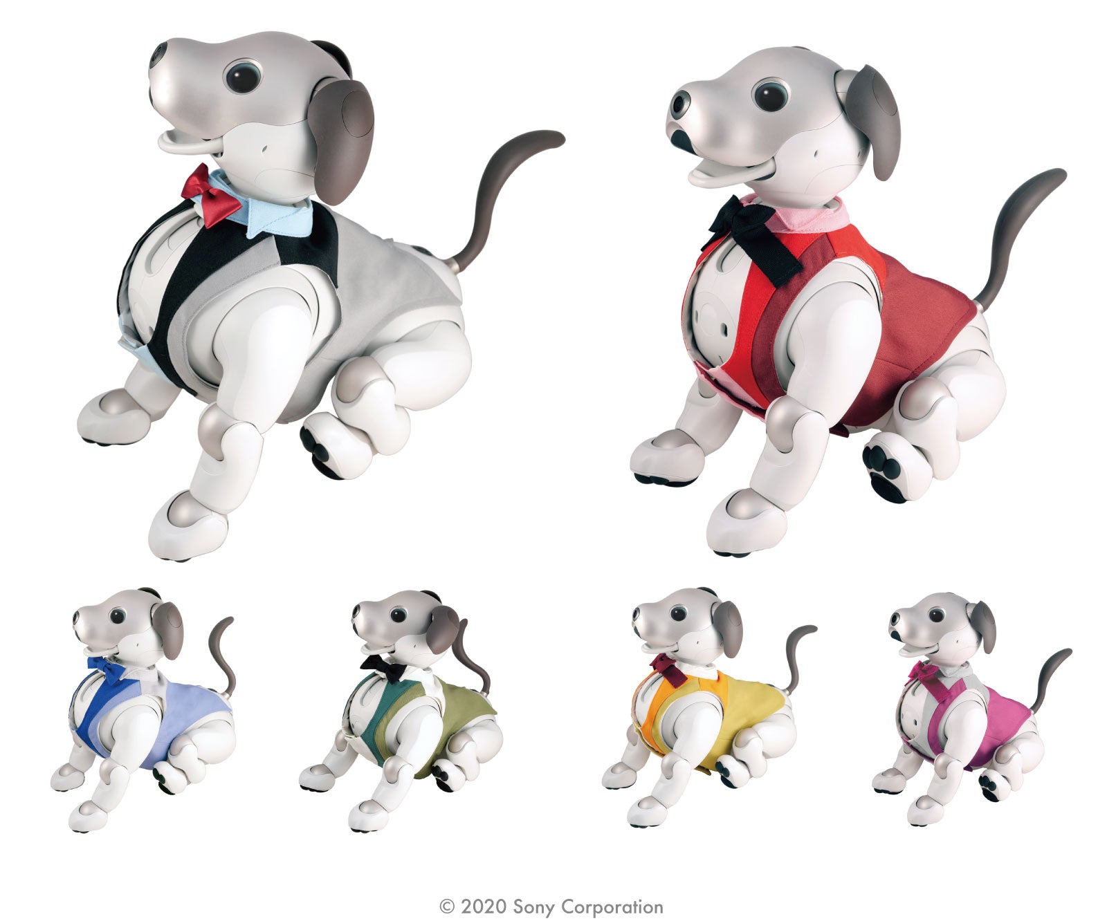 コミュニケーションロボットaibo公式ライセンス商品「タキシードウェア」を受注開始 – ROBO-UNI